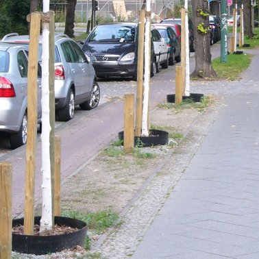 ARBO-FLEX 7 plus Stammschutzfarbe, inkl. 1 Schleifvlies, 5 kg