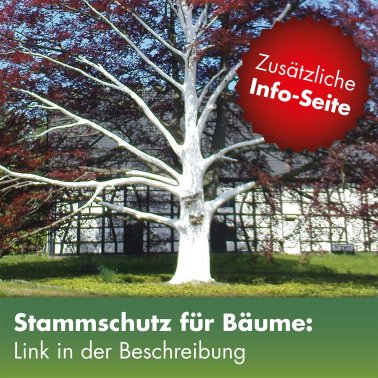 ARBO-FLEX 7 plus Stammschutzfarbe, inkl. 1 Schleifvlies, 5 kg